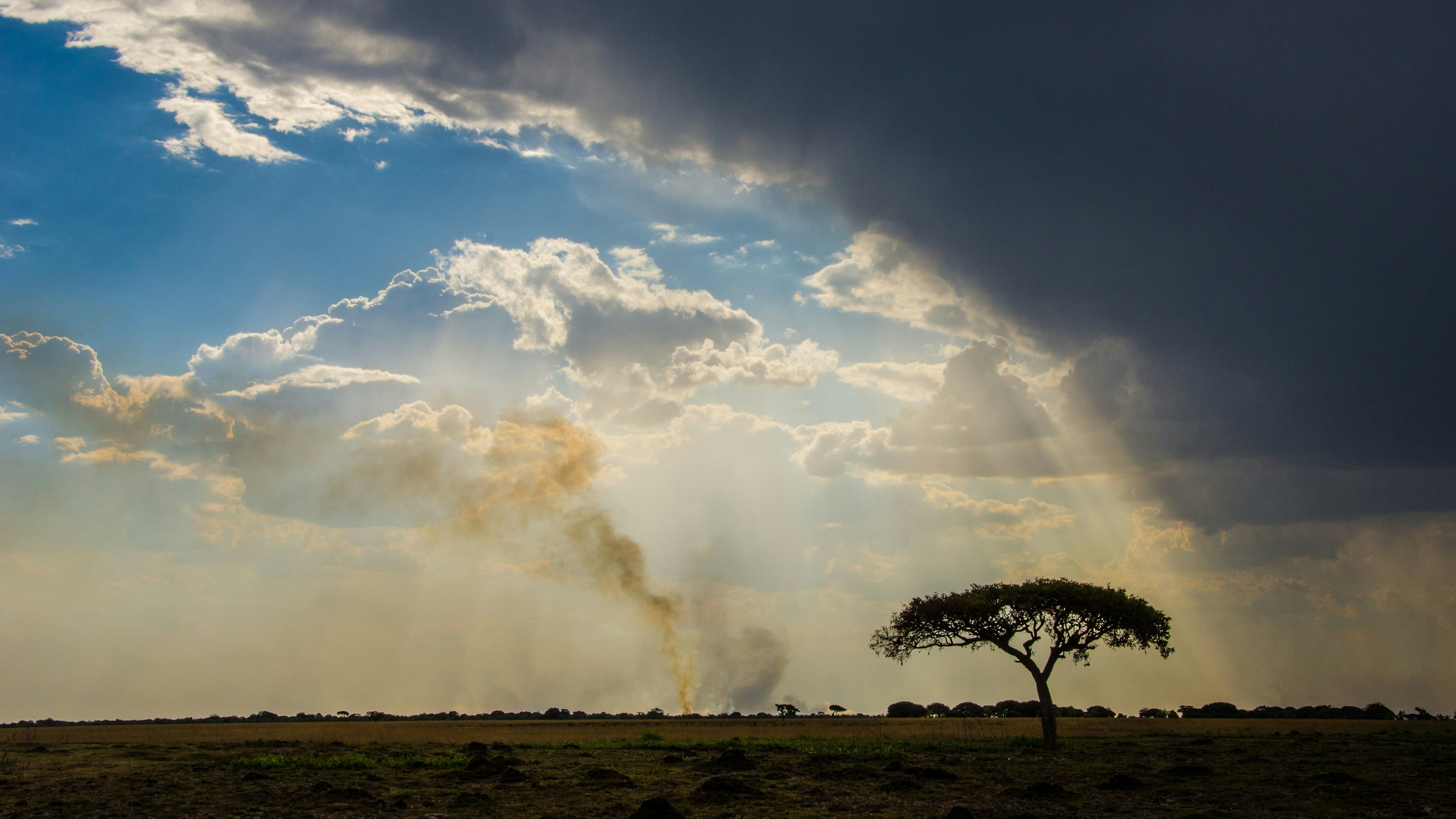 Knowledge and Power in Contemporary Africa - Examining Valentin-Yves ...