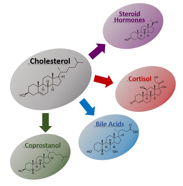 High cholesterol? There's a bug for that.
