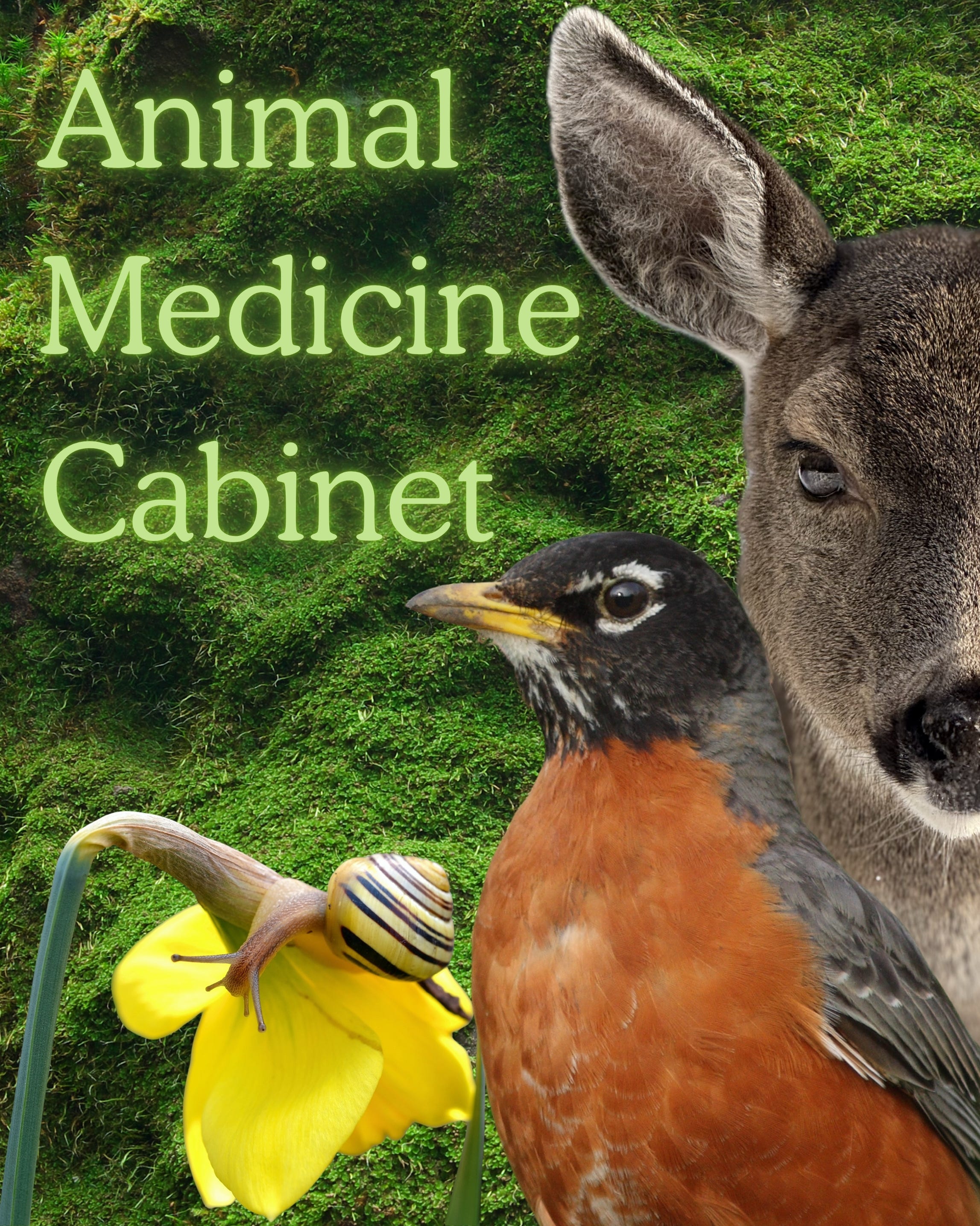March is Animal Medicine Month at Fauna Speak