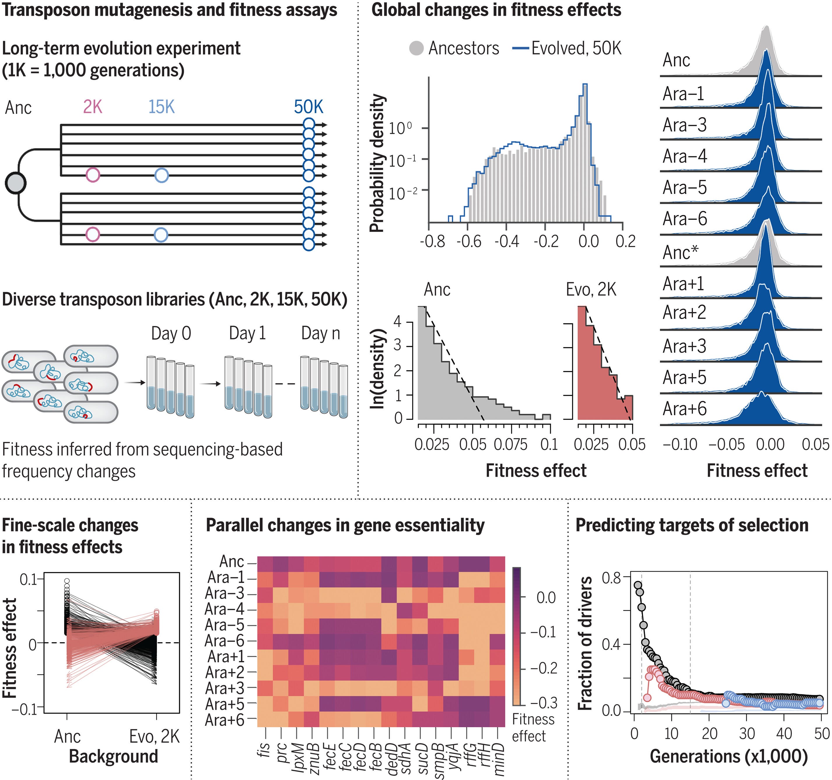 Complexity Thoughts: Issue #28 - Complexity Thoughts