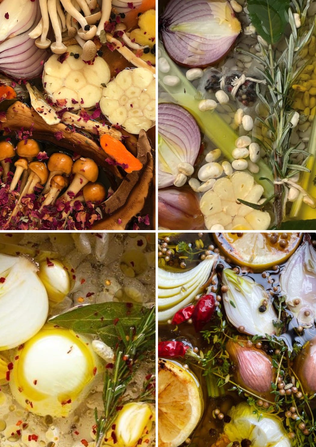 The Rabbit Hole 🕳🐇 issue no.36 - by Patricia