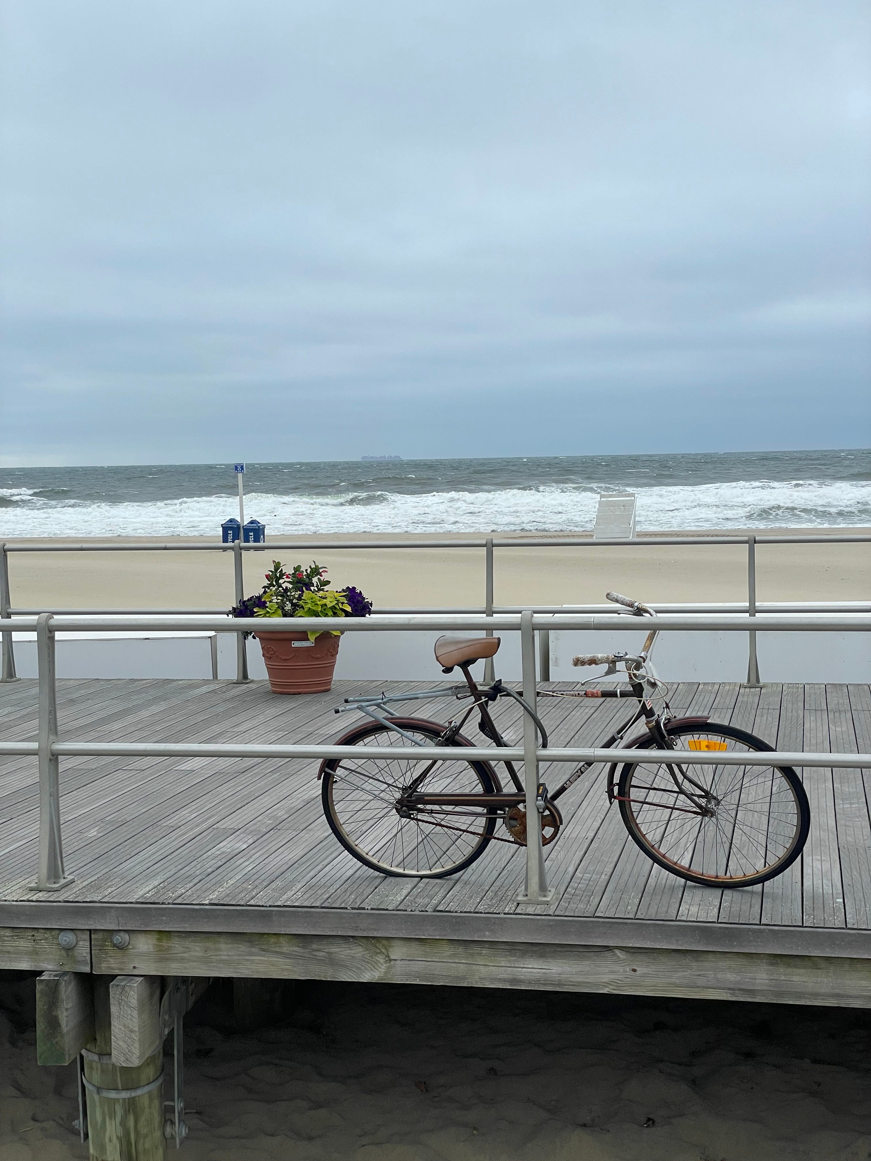 Amy Byrnes | Substack