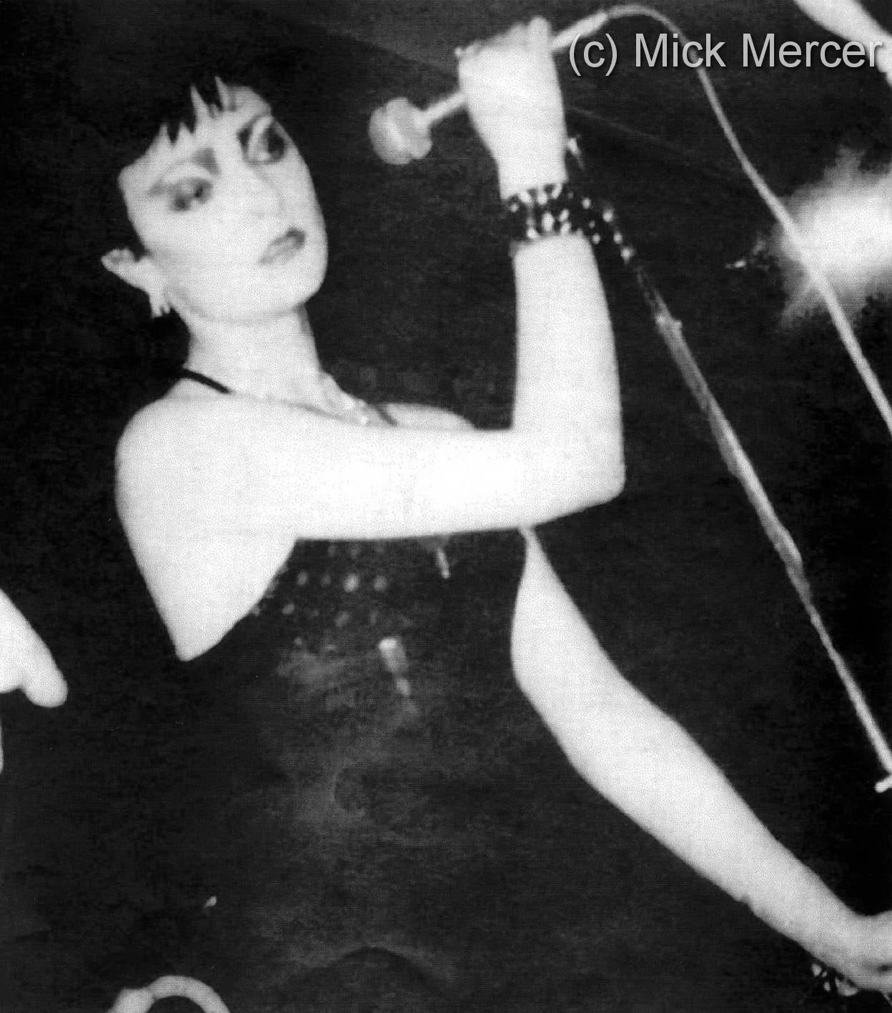 ON THIS DAY ... in 1977 - SIOUXSIE, THE SLITS and ADAM & THE ANTS at ...