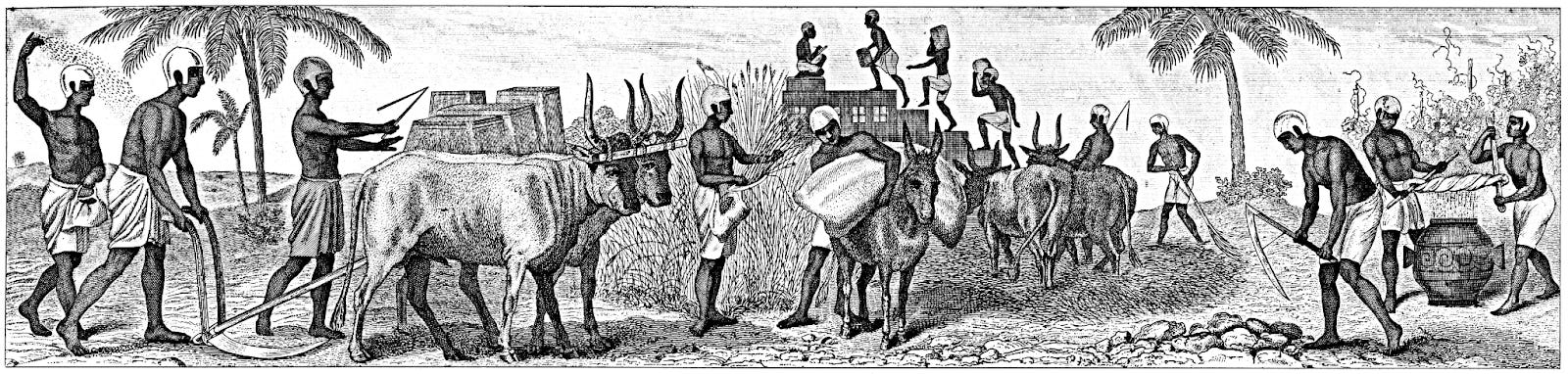 What Can We Learn About Energy from Ancient Energy Revolutions?