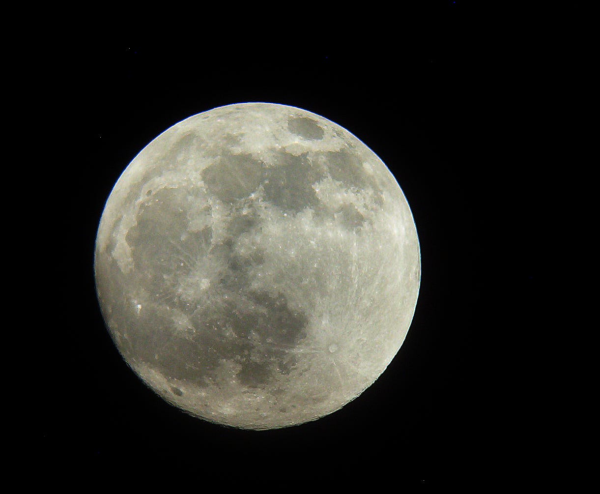 Welcome! - by James Daly for AFC