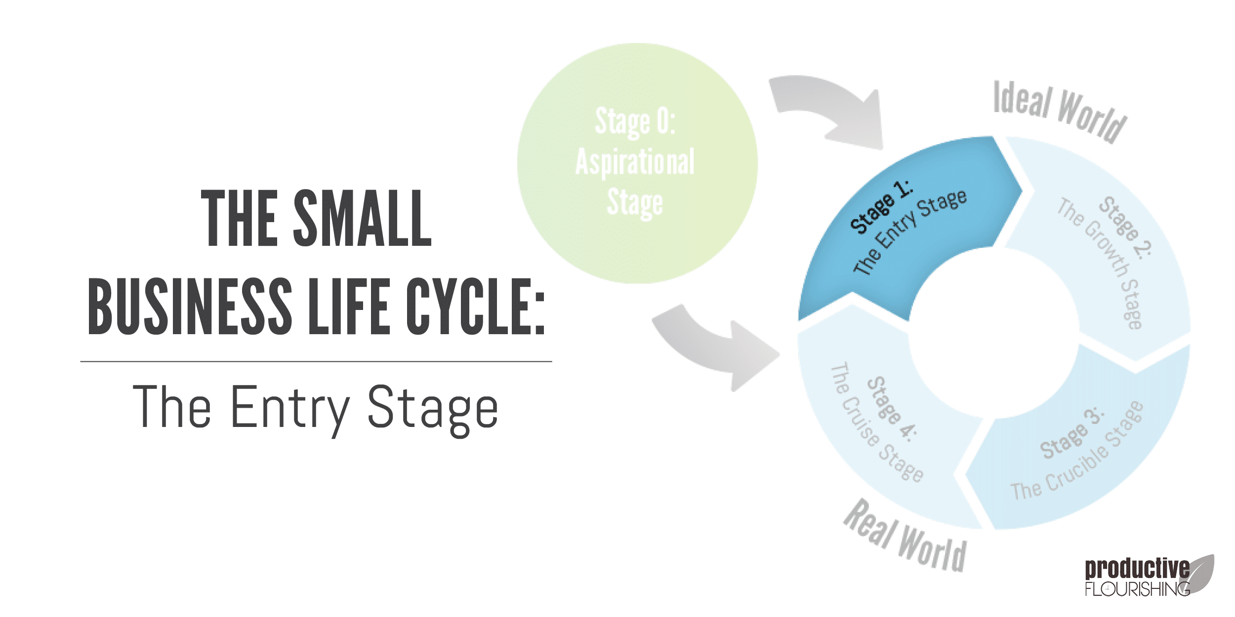 The Small Business Life Cycle: The Entry Stage