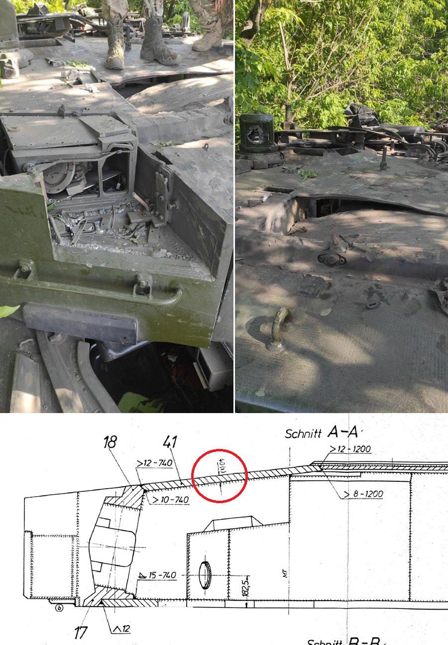 LEOPARDS IN UKRAINE - by Mike Mihajlovic