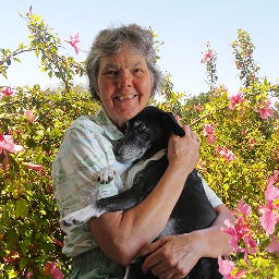 Join Val Archer’s subscriber chat