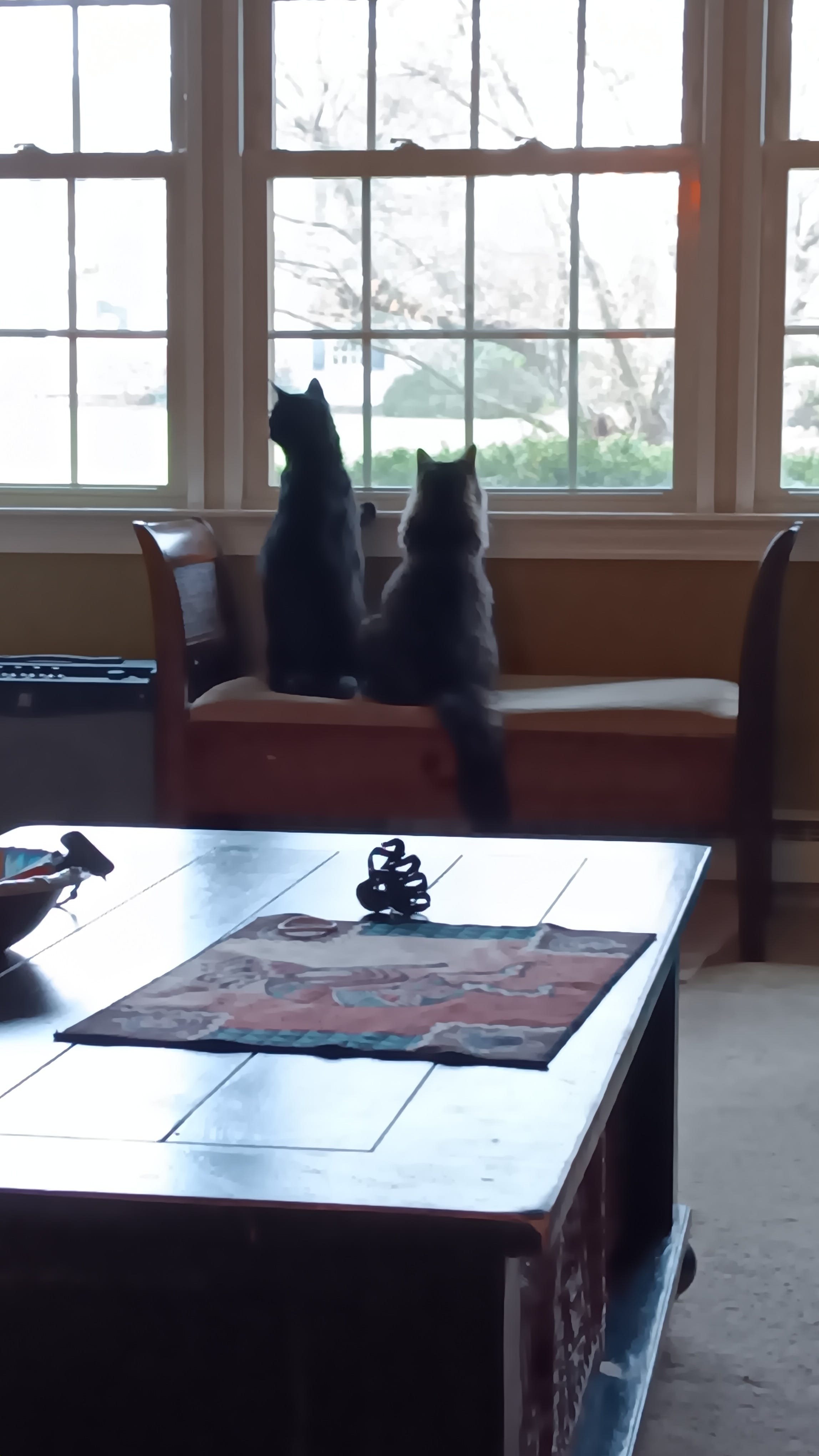 Saturday afternoon raw writing - by Jane Deegan