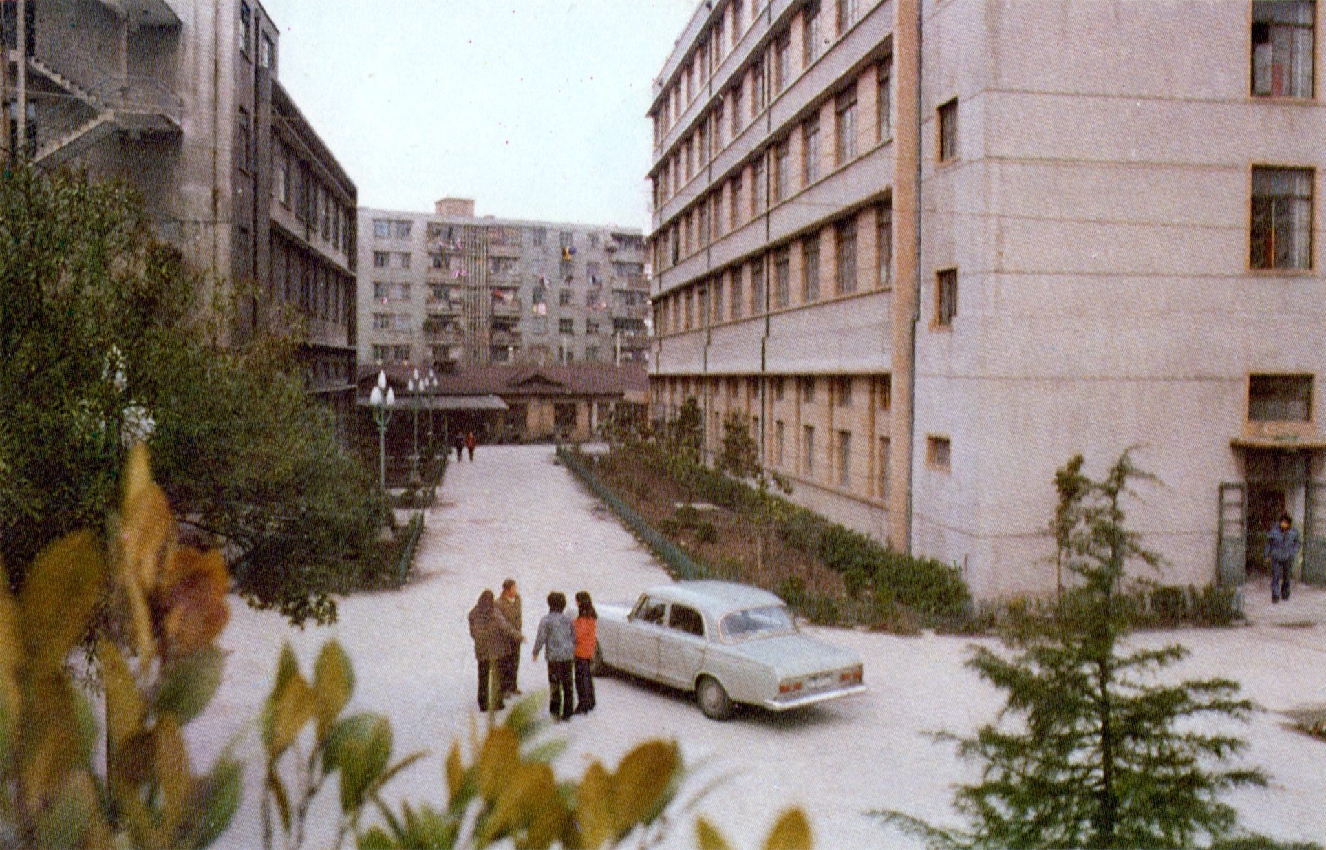 Animation During the Cultural Revolution