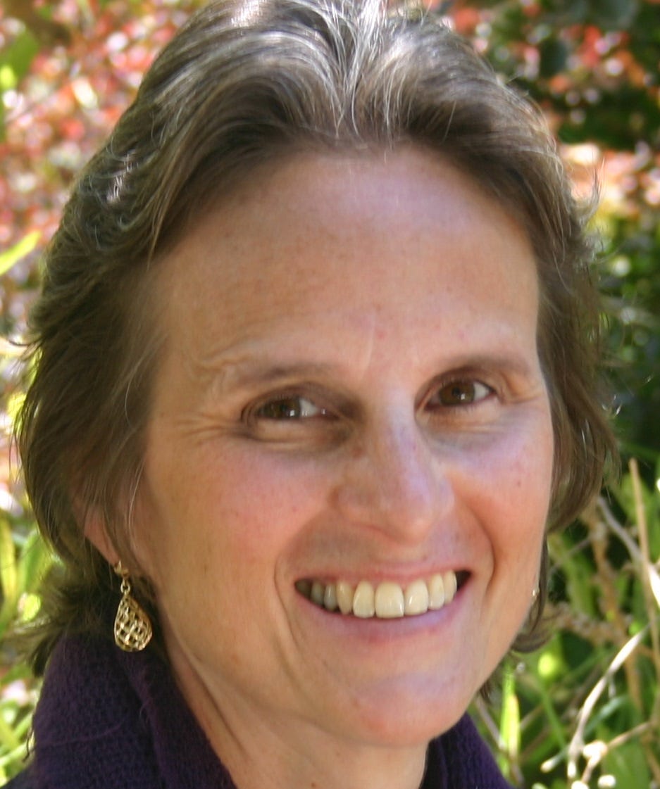 Julie Schmidt | Substack