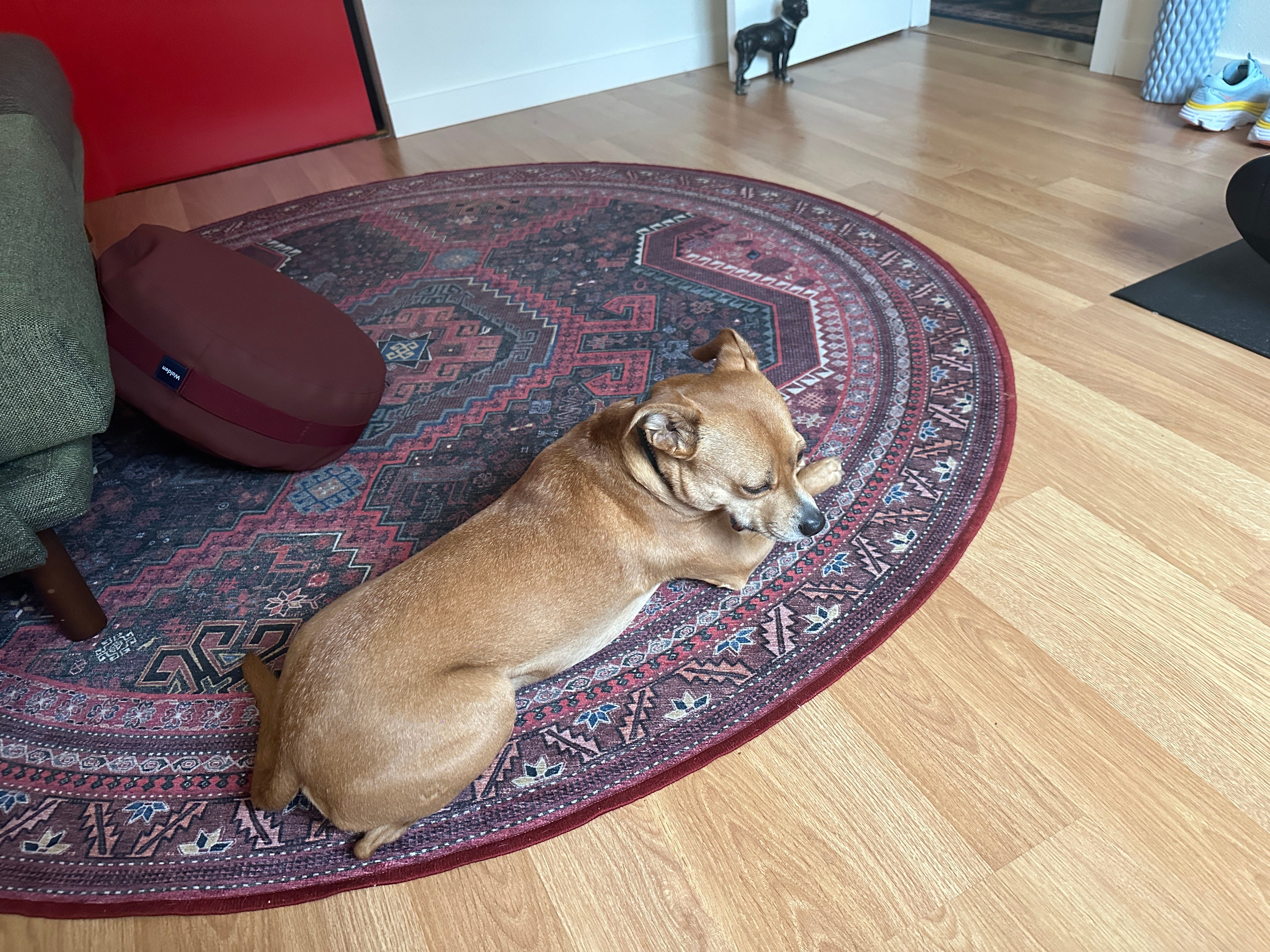 Sunday Edition: Cozy Recommendations Only (And Lots of Them)