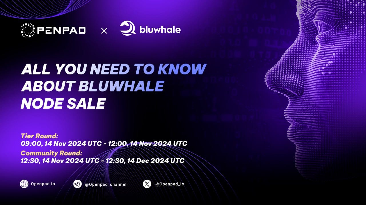 ALL YOU NEED TO KNOW ABOUT BLUWHALE NODE SALE