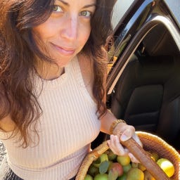 Stephanie Greene | Substack