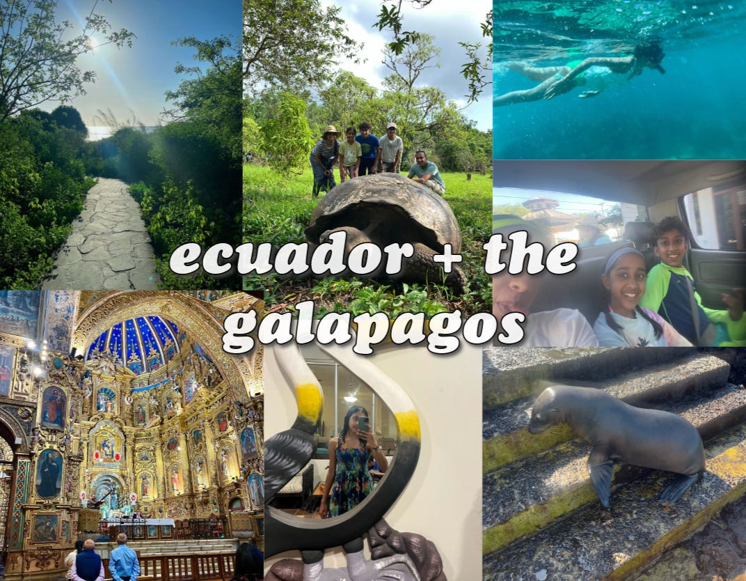 February + March - by Mansi Bhandari - Mansi’s Substack