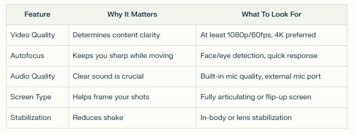 Top 5 Vlogging Cameras for Beginners Under $800 (2025)