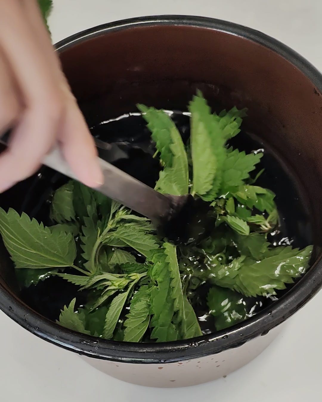 Nettle experiments - by Ania Grzeszek - Kaliko Journal