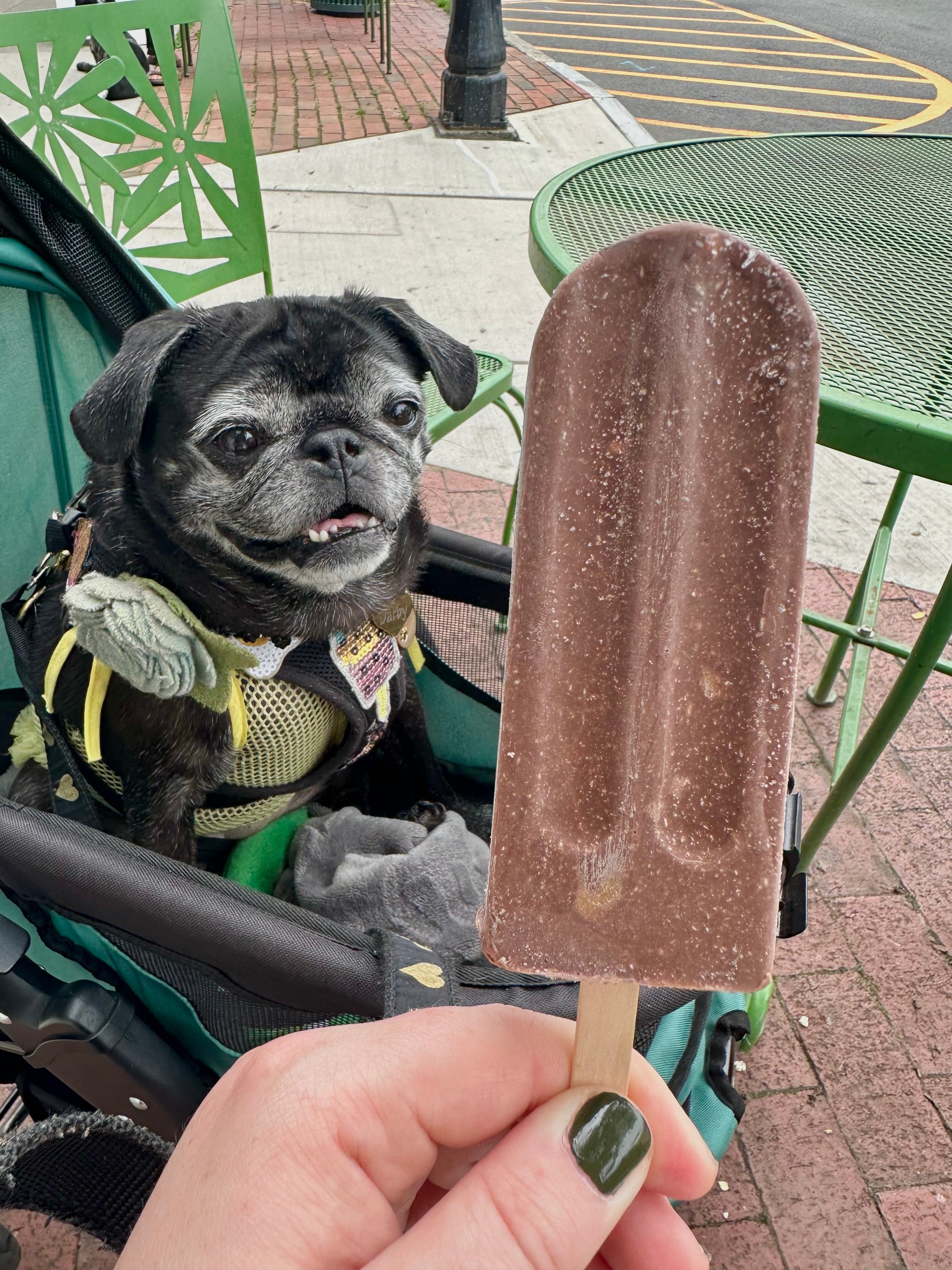 100. Has Booze Entered Its Cringe Era? - by courtney iseman