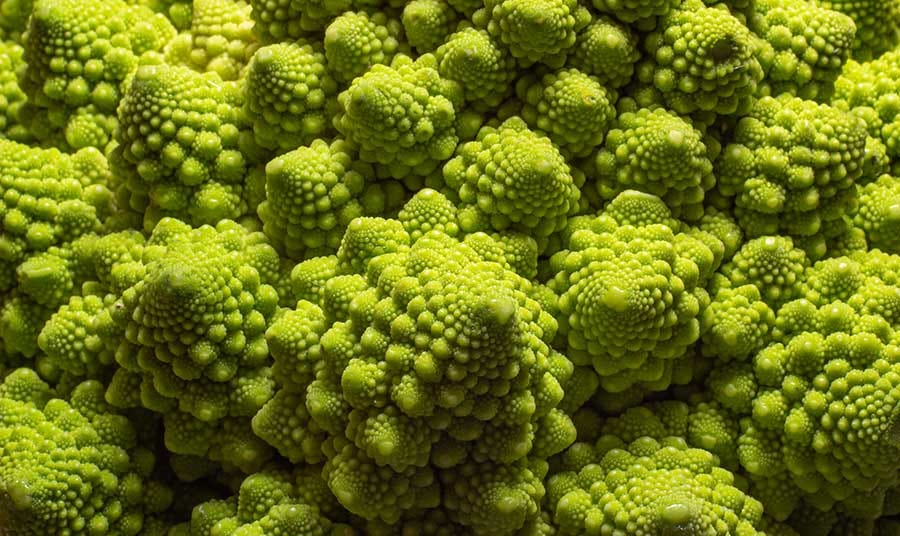 The Fractal Map and Impossible Symmetry