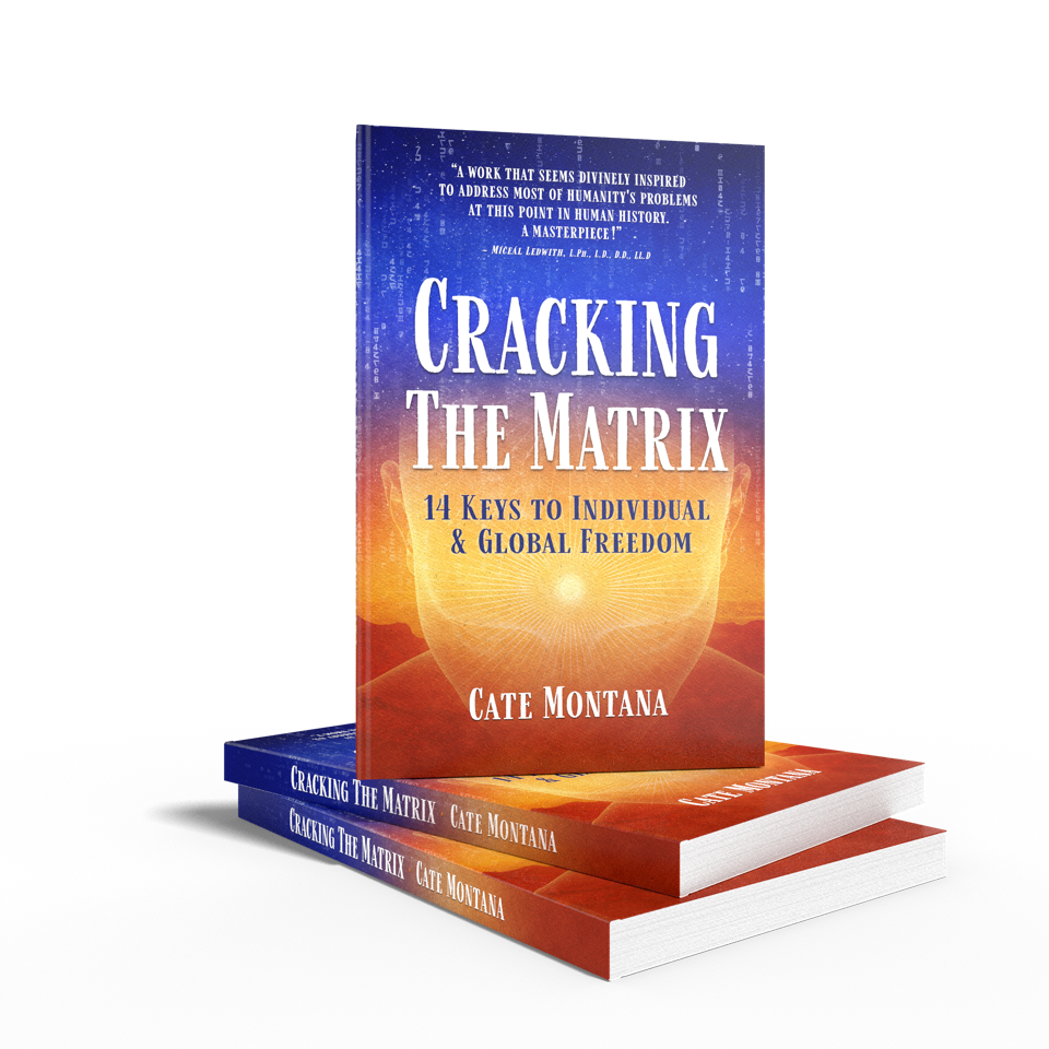 Stories, illusions and lies, oh my! - by Cate Montana