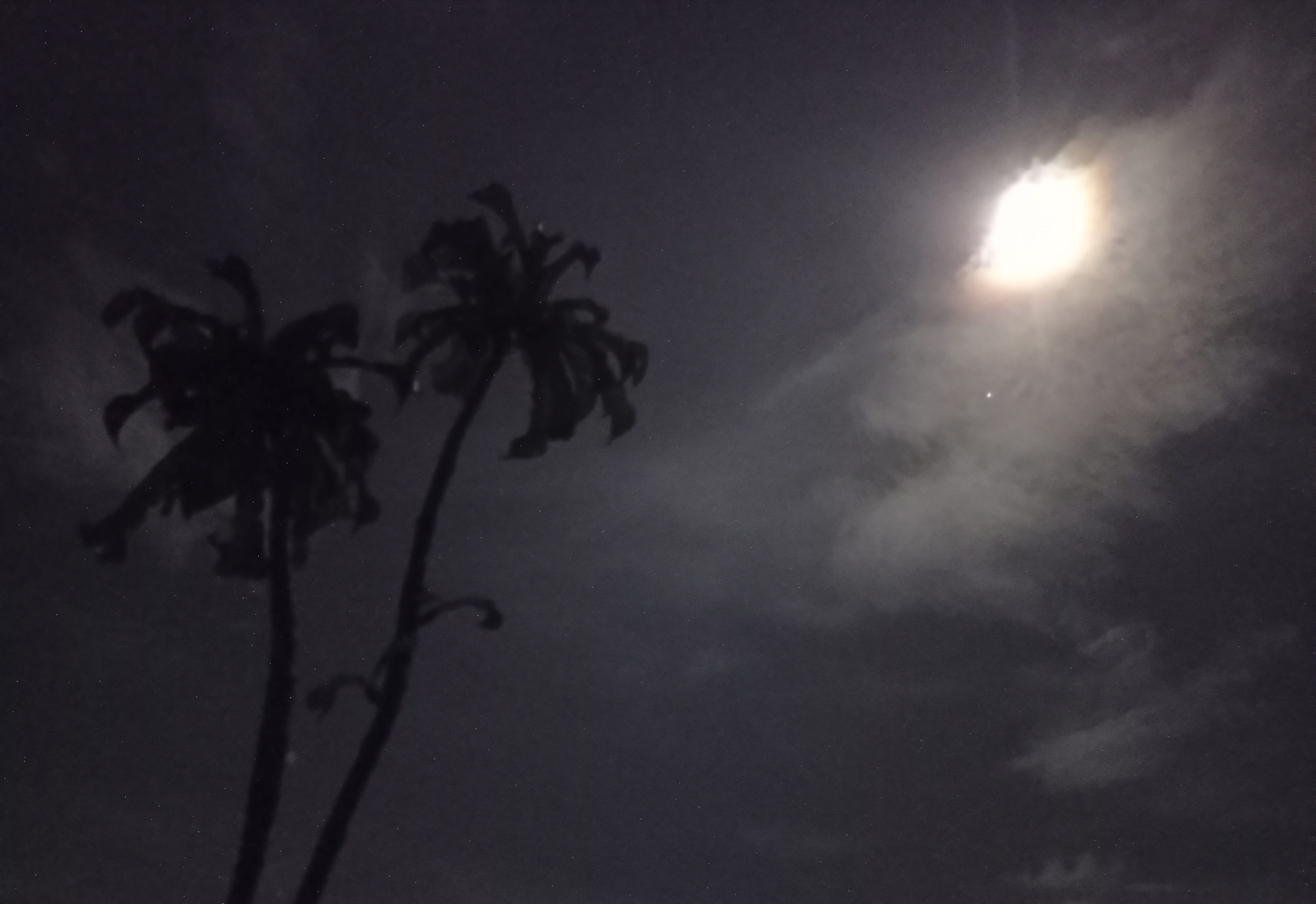 Full Moon Day On Night Sky - waiyumtun’s Substack