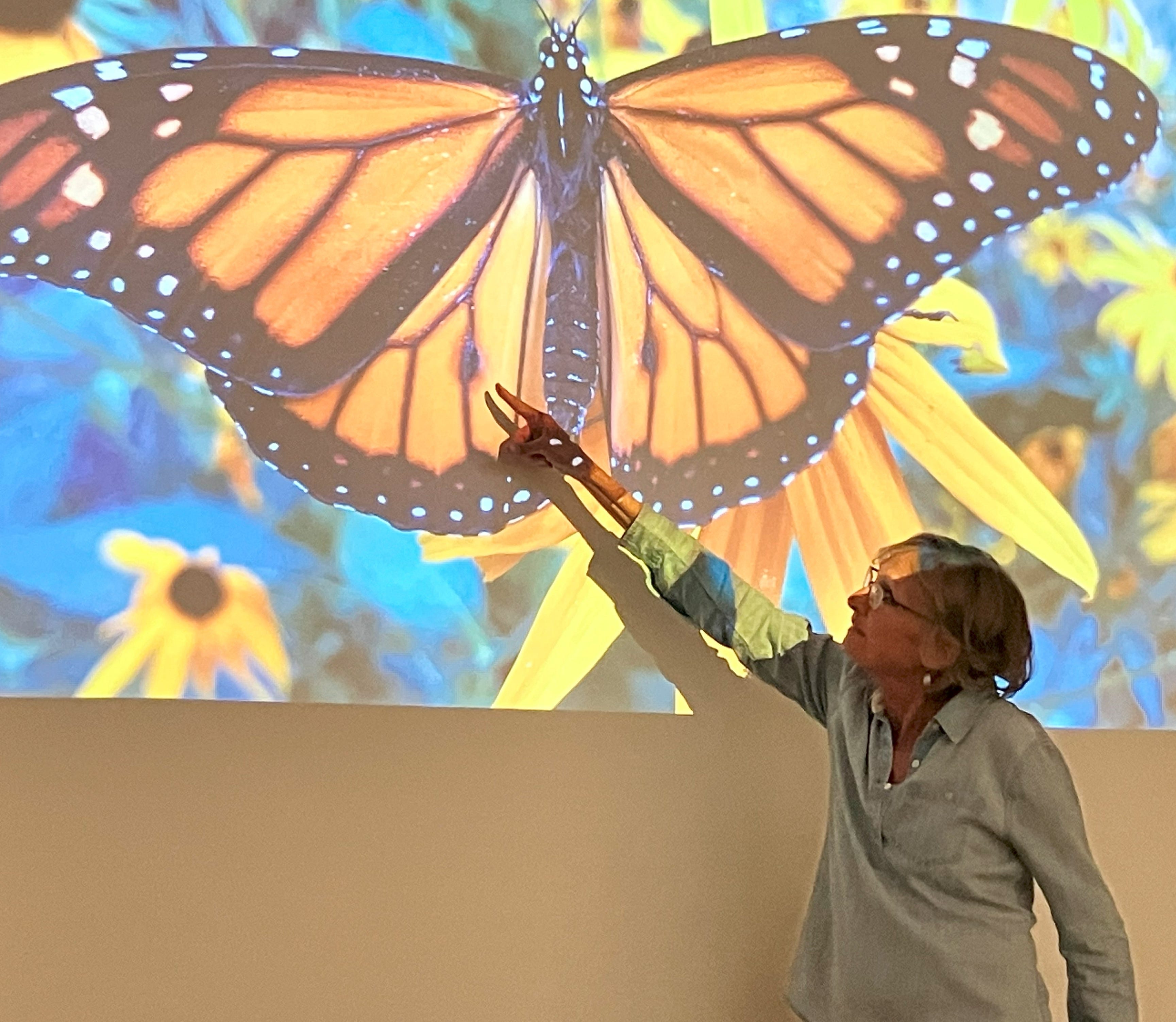 'Monarch Magic' enchants library crowd - by Patrick Munsey