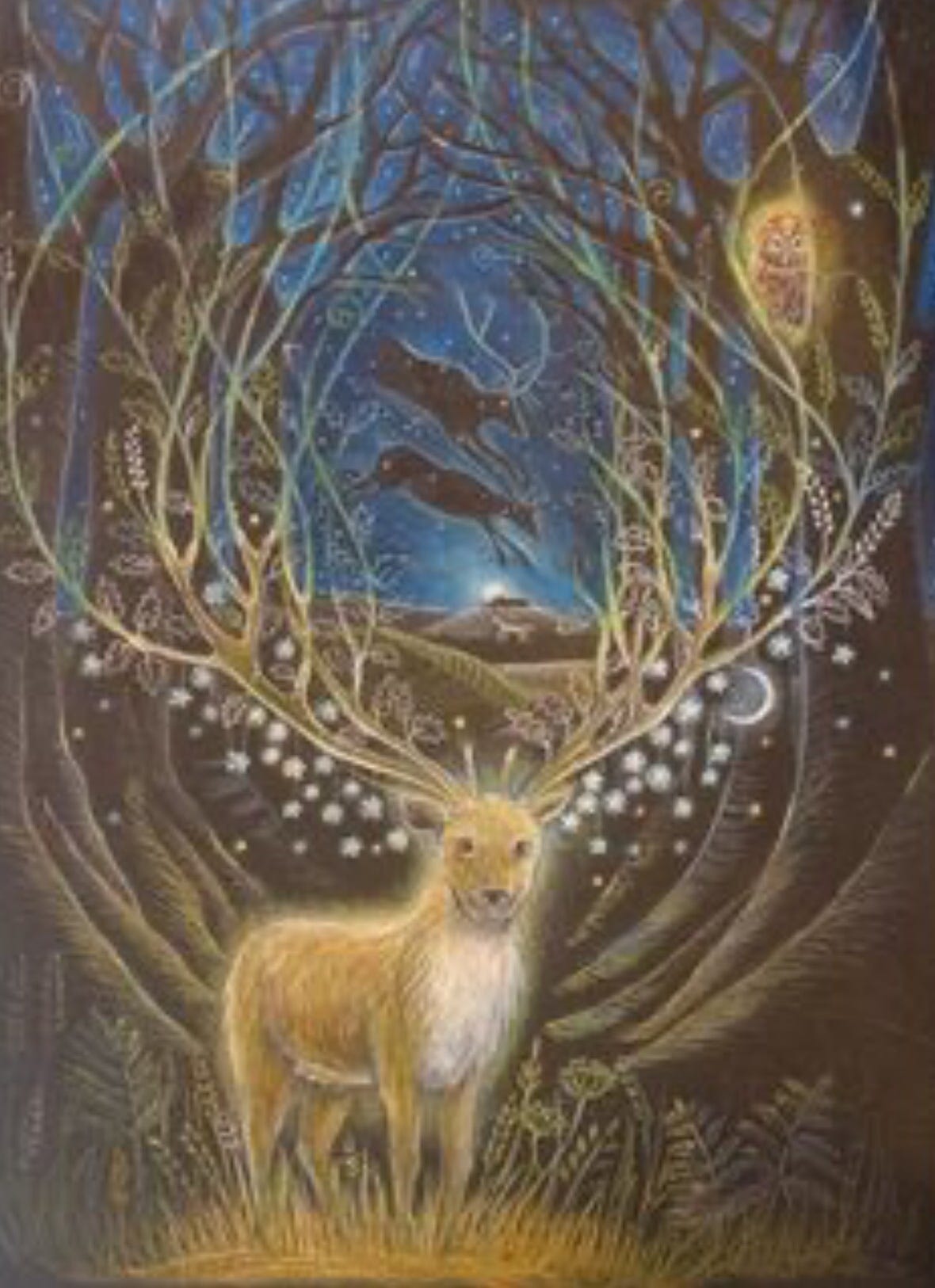 Winter Magic From Deer Mother Presence