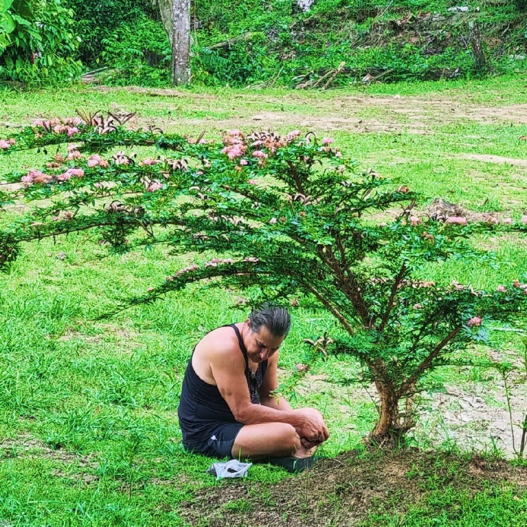 Wayne Hoffman | Substack