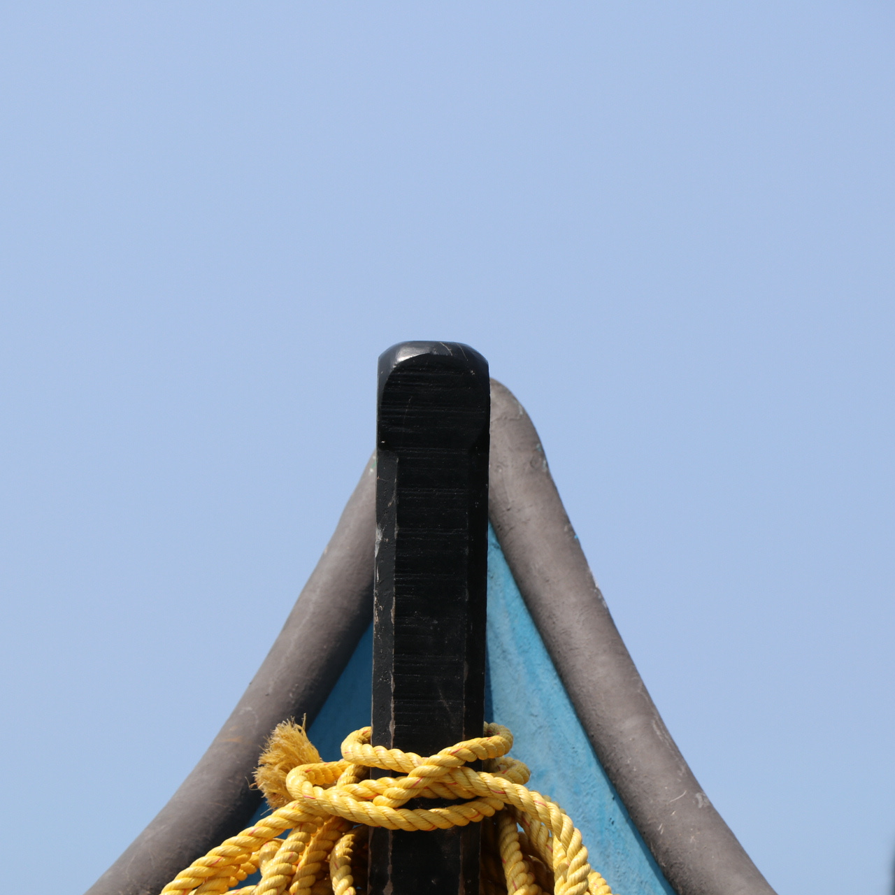 Randomness of Life subscriber chat