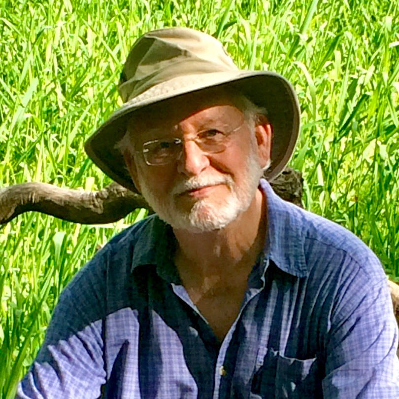 Jack Haynes | Substack