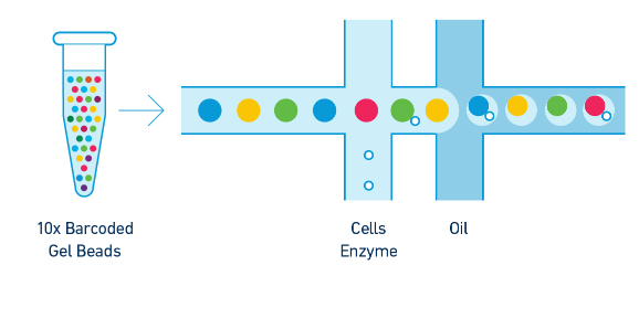 The 10X Chromium Controller Pneumatic System