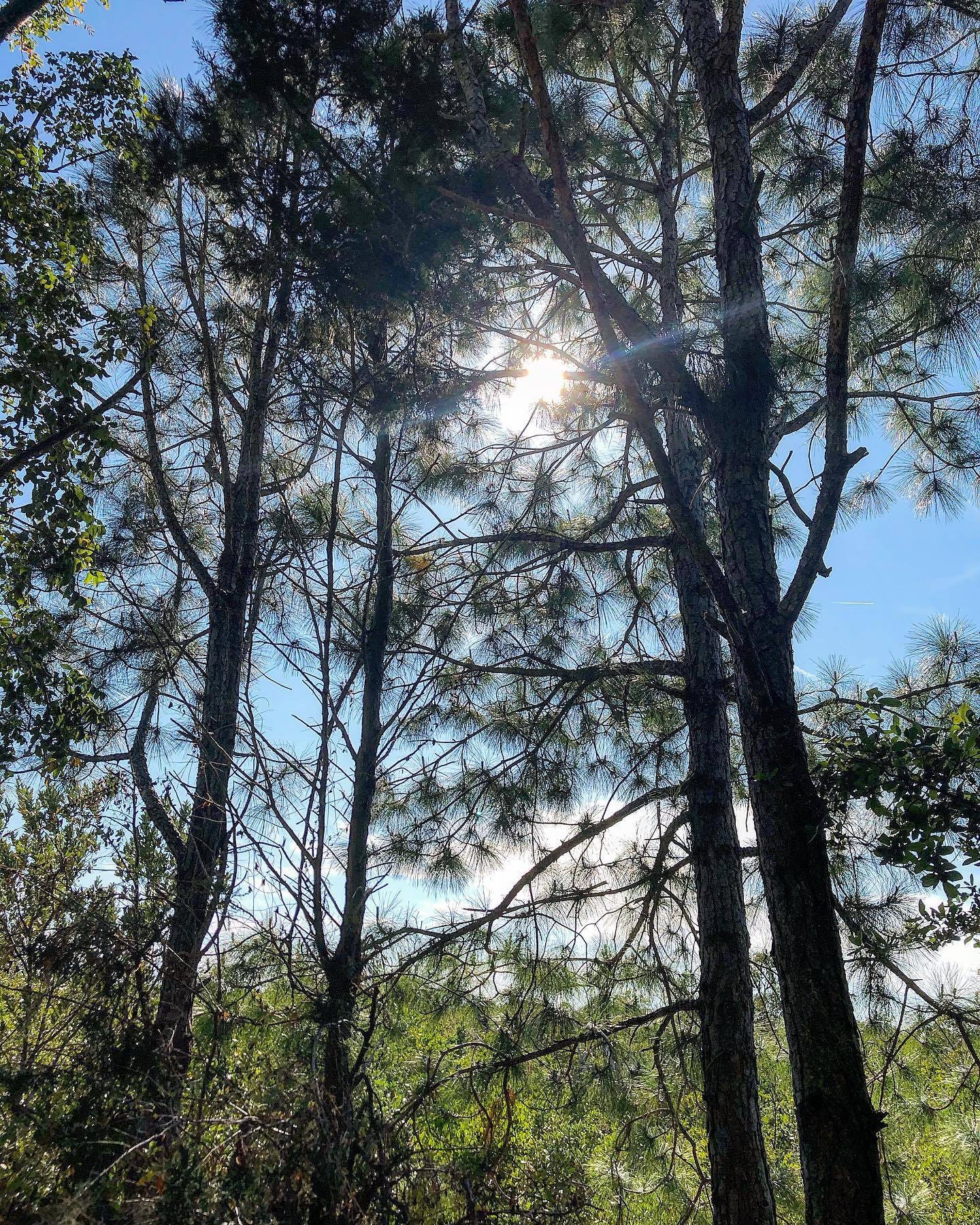 It's time to expand Emerson Point - by Marc R. Masferrer