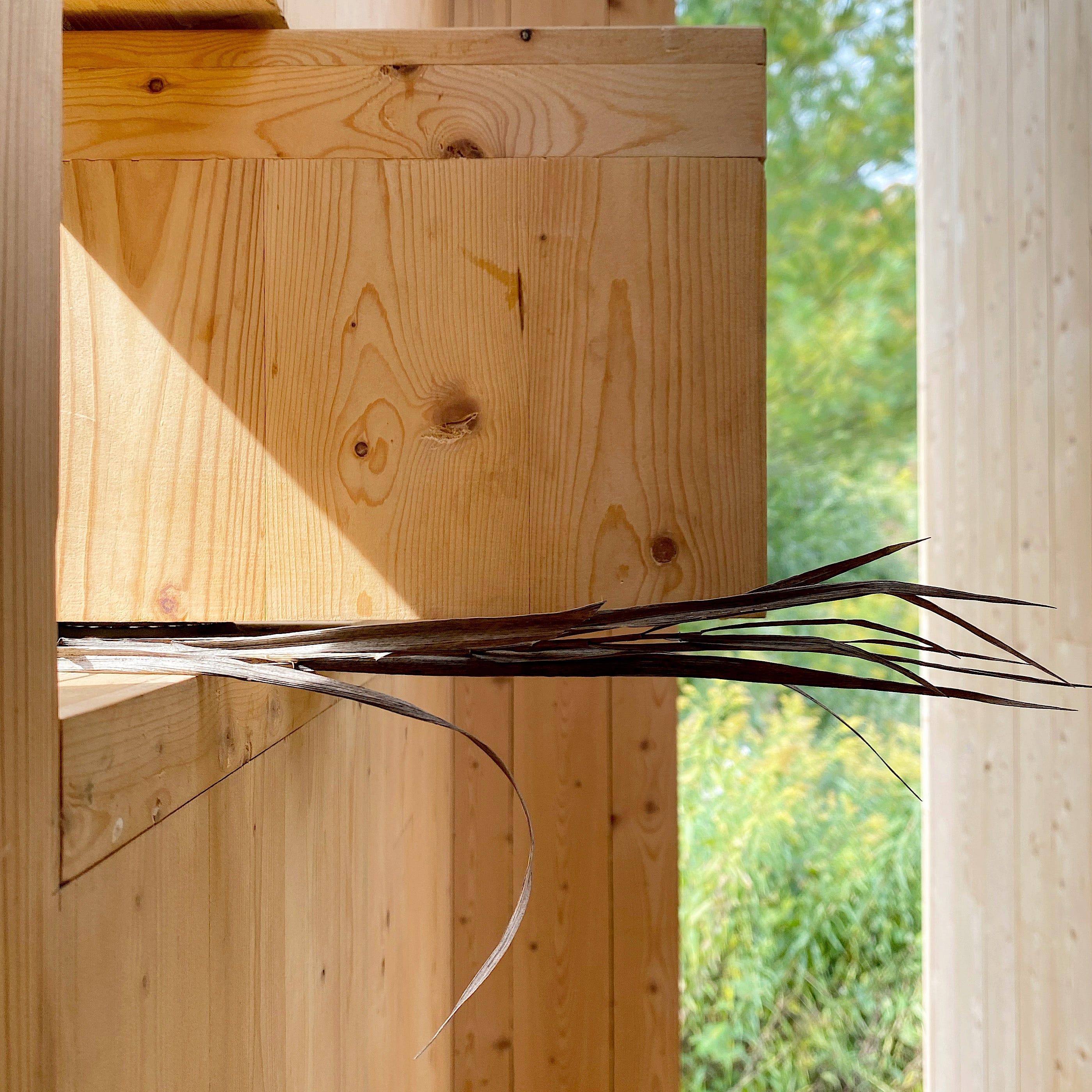 Studio Notes | Backstory 01 - Abigail Doan Studio | Terrain