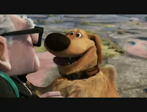 Chasing the Squirrel: How I Stay Productive with ADHD