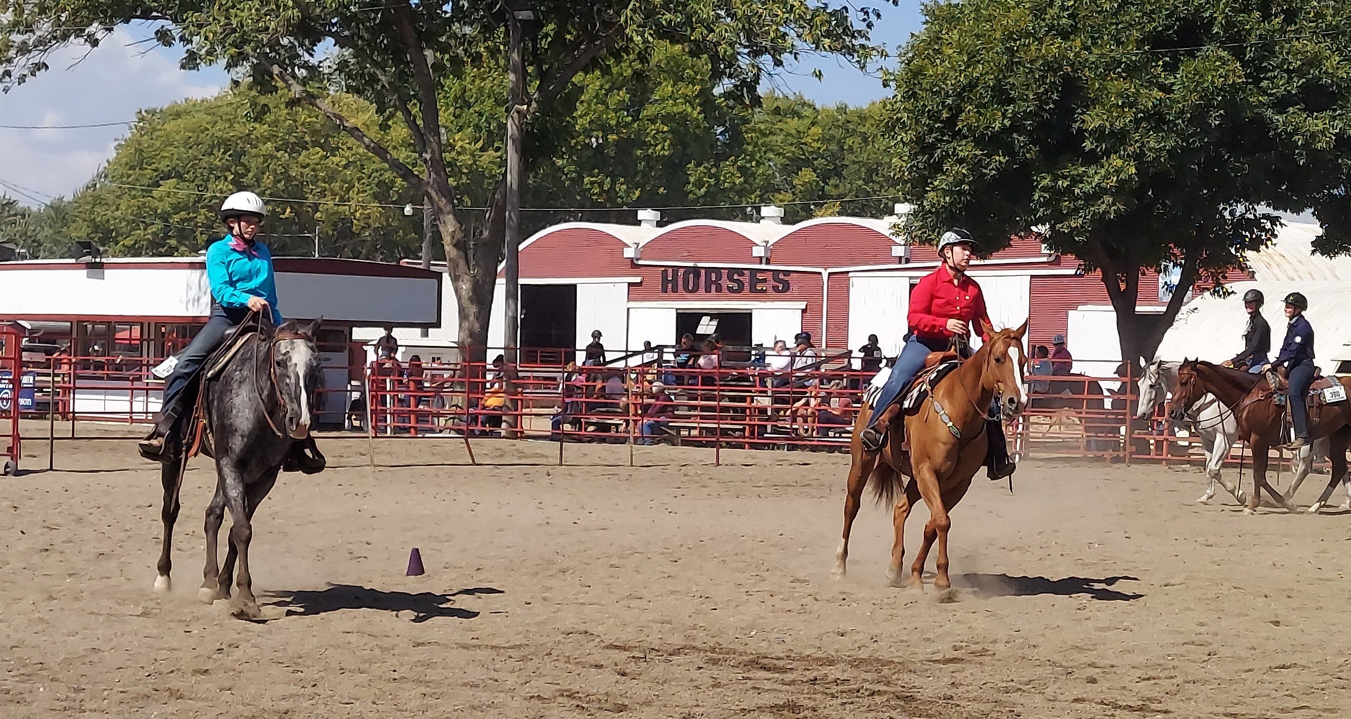 Clay County Fair: Iowa's grand finale - by John Naughton