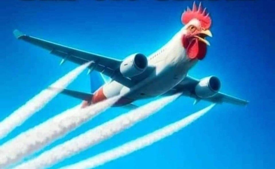 Dr. Joseph Mercola Advises on What You Can Do If Weaponized Bird Flu is ...