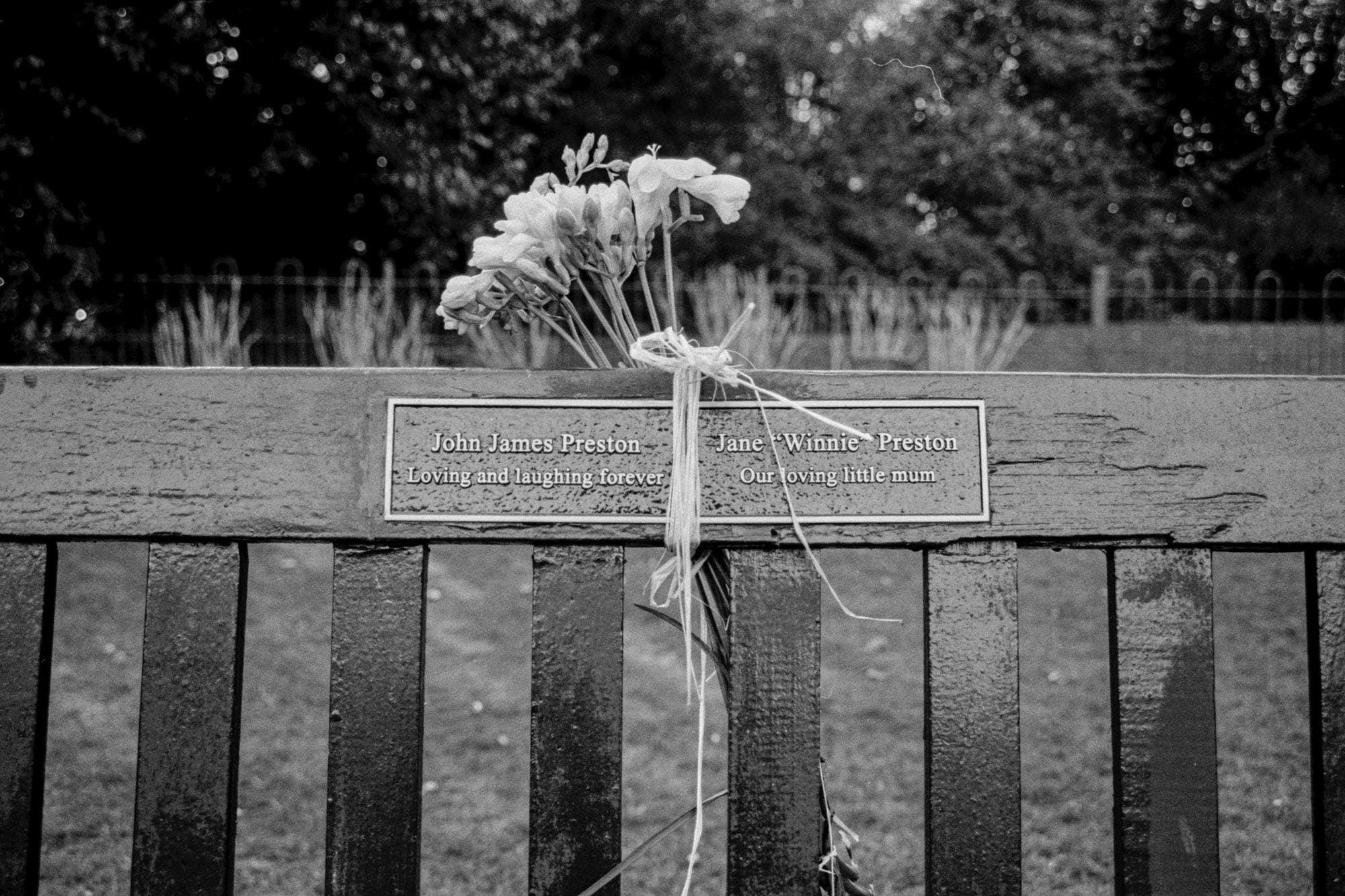 In Memoriam - by Richard Partridge