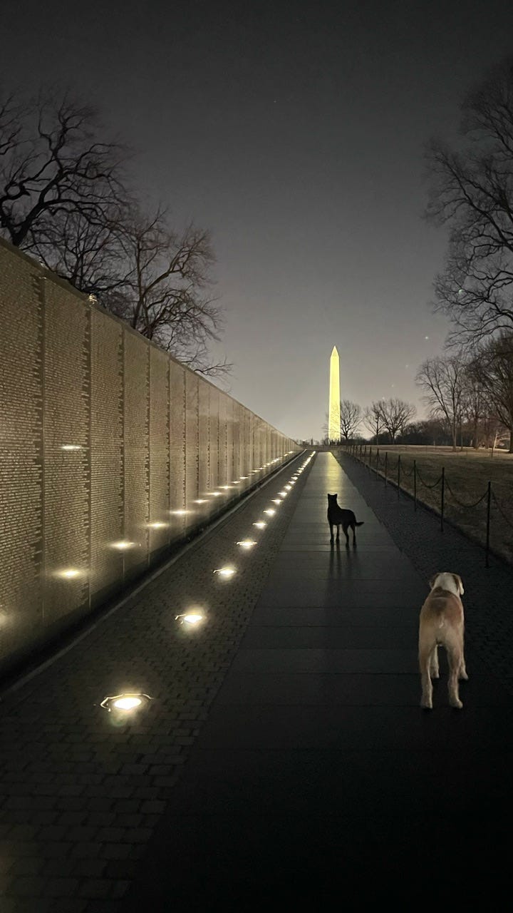 Tom Ryan, Author | Substack