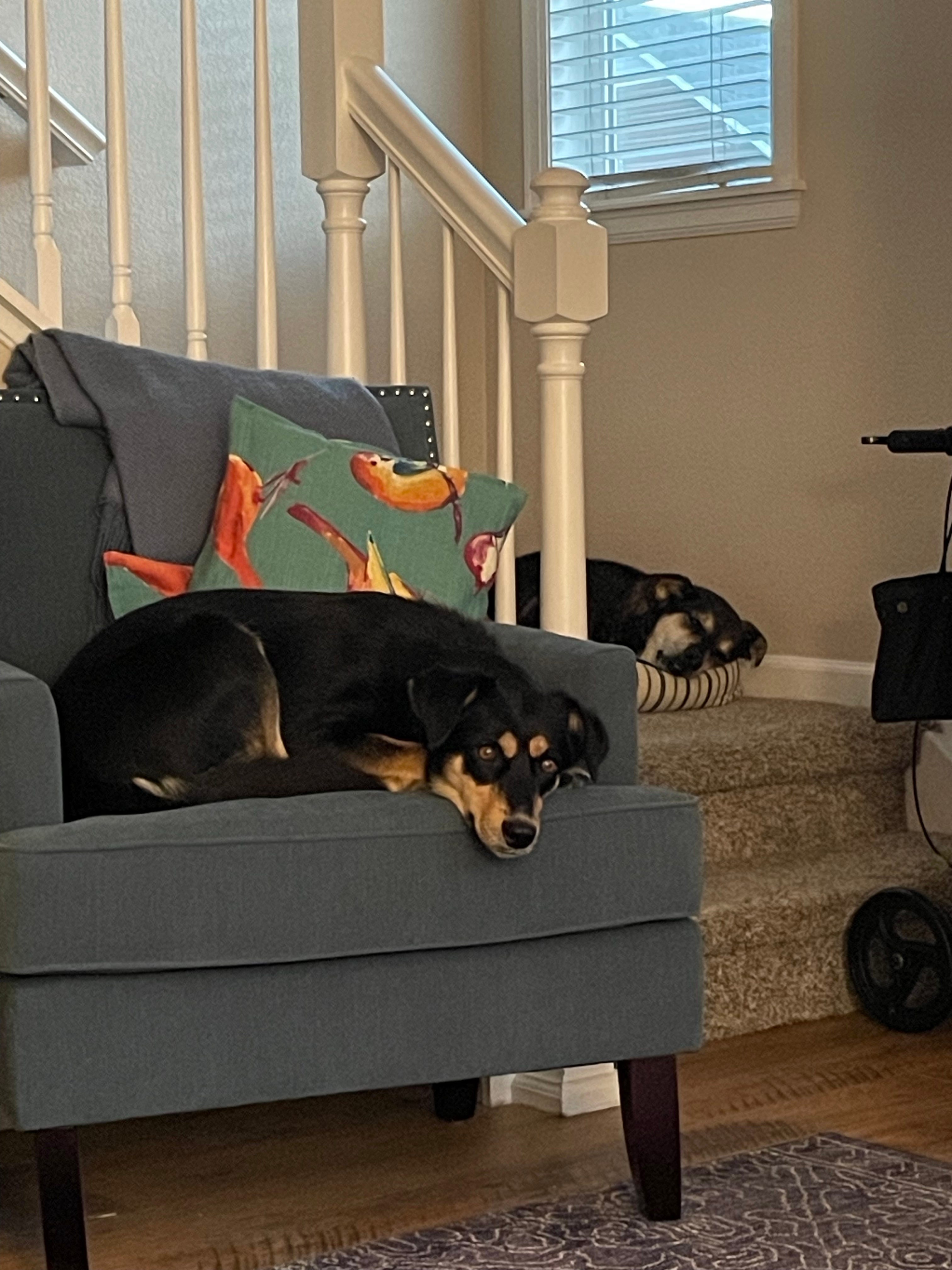 John Hawthorne | Substack