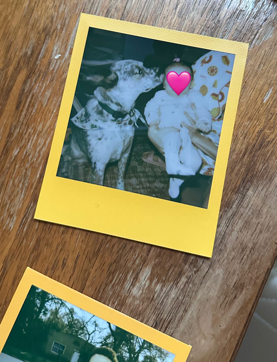 a collection of family mottos - a little something sweet