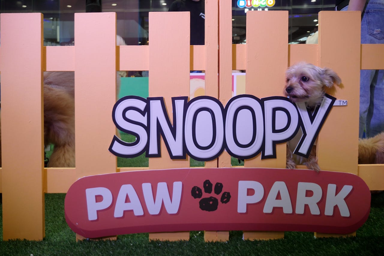 Wag a tail at the Snoopy Paw Park - by George Buid
