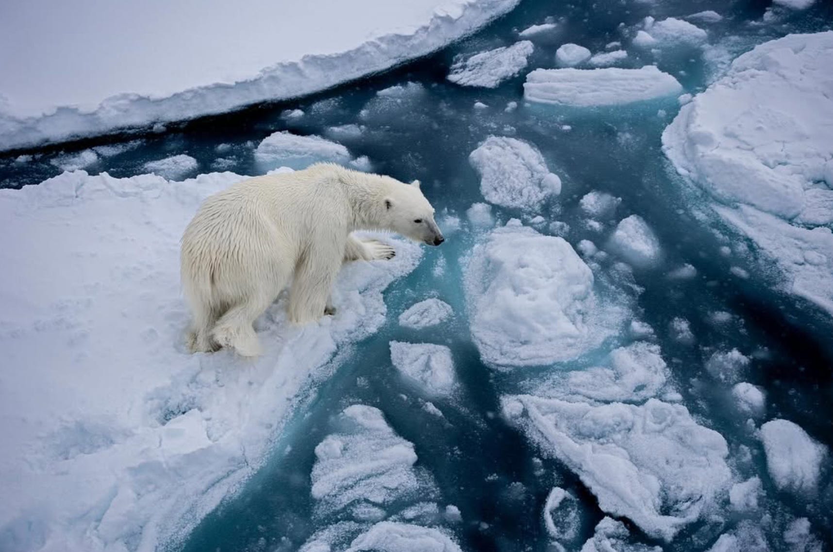 Why you should track your pitches - by Justin Meneguzzi