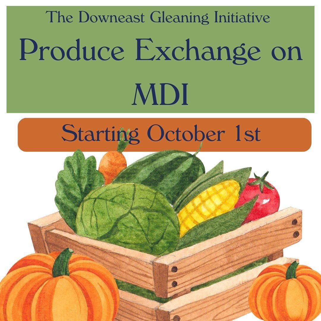 MDI Produce Exchange: A Community Space to Share or Pick Up Fresh Produce