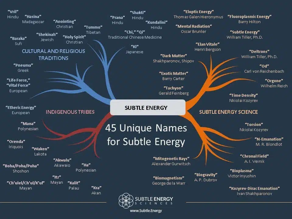 What is Animism? - by Chris Hurst - A Wild Spirituality