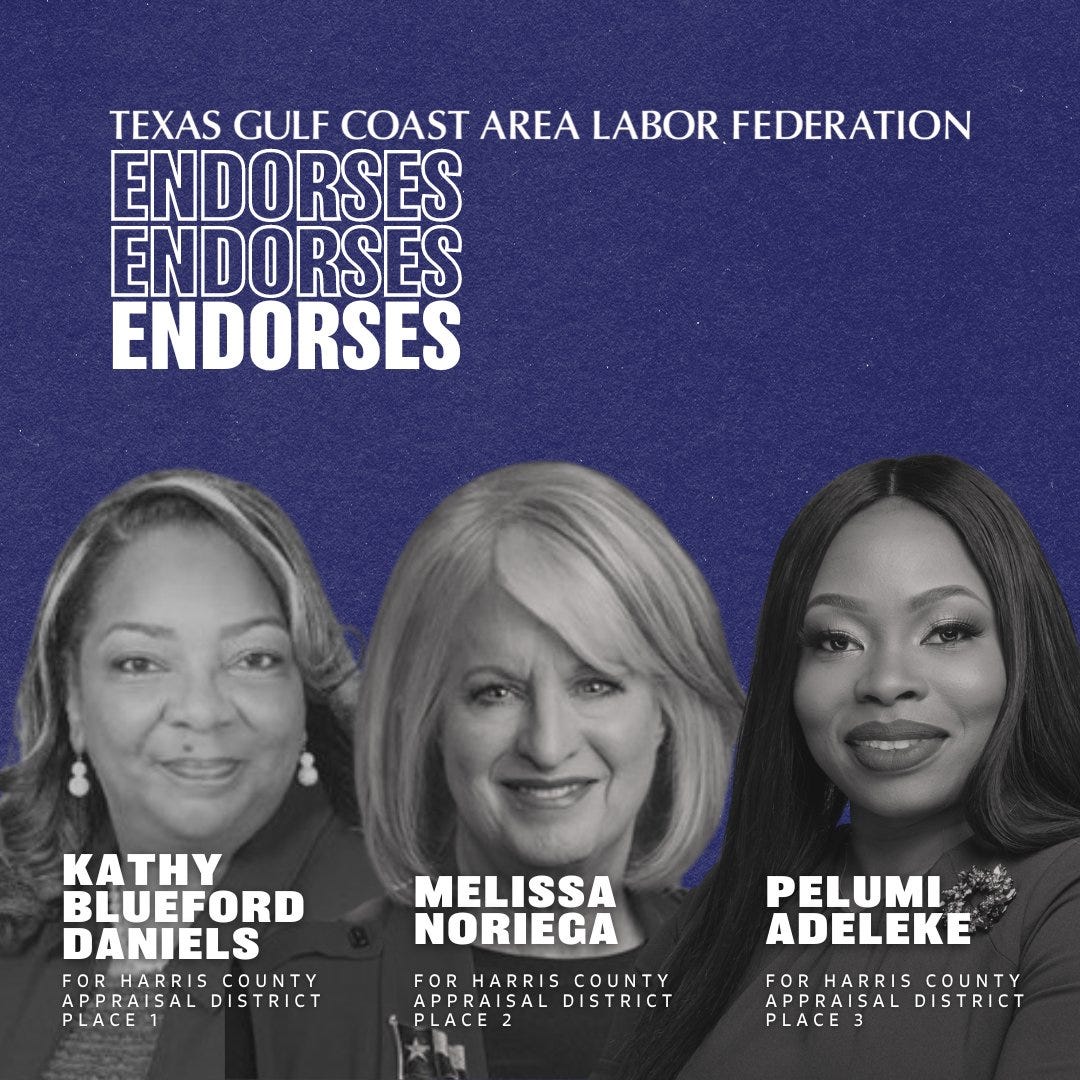 Houston Grassroots Democratic Voter Guide for the May 2024 Elections (Part 1)