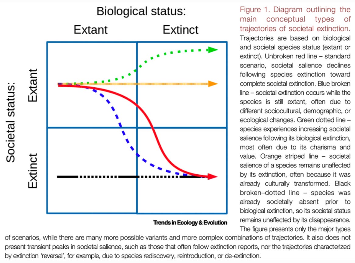 How Some Species Can Go Extinct Twice And Why We Should Care