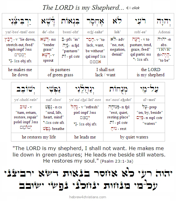 The Good Shepherd’s Care - by John Parsons