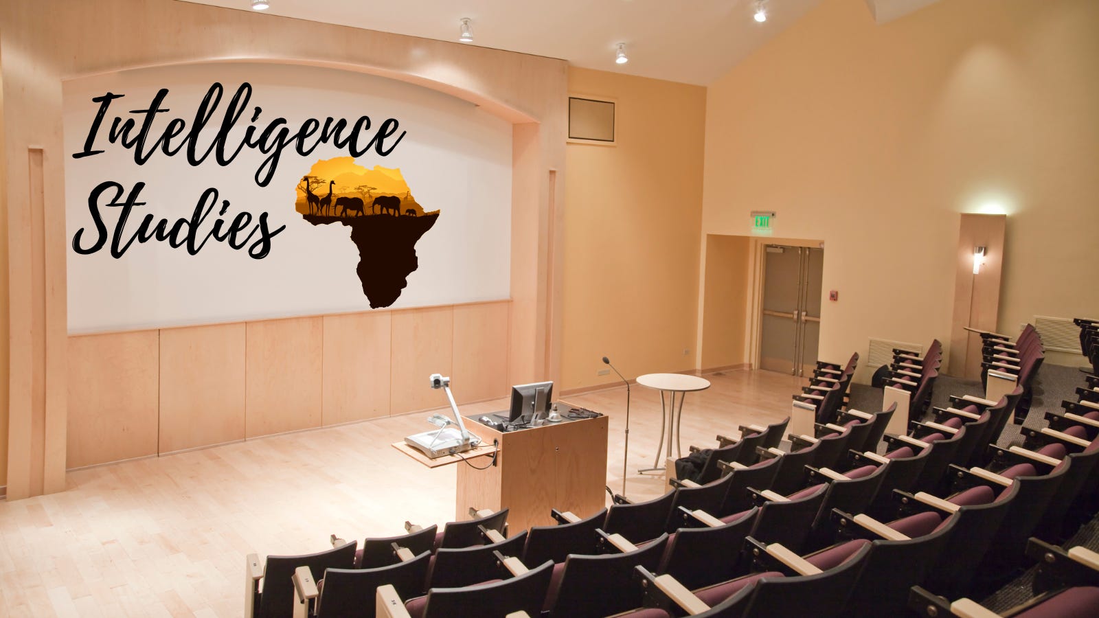 The Future of Intelligence Studies in Africa: Challenges and ...