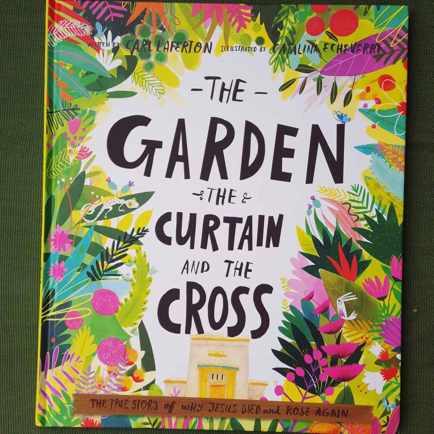 The beginning of June, 2024 - by Kristen R - silva rerum