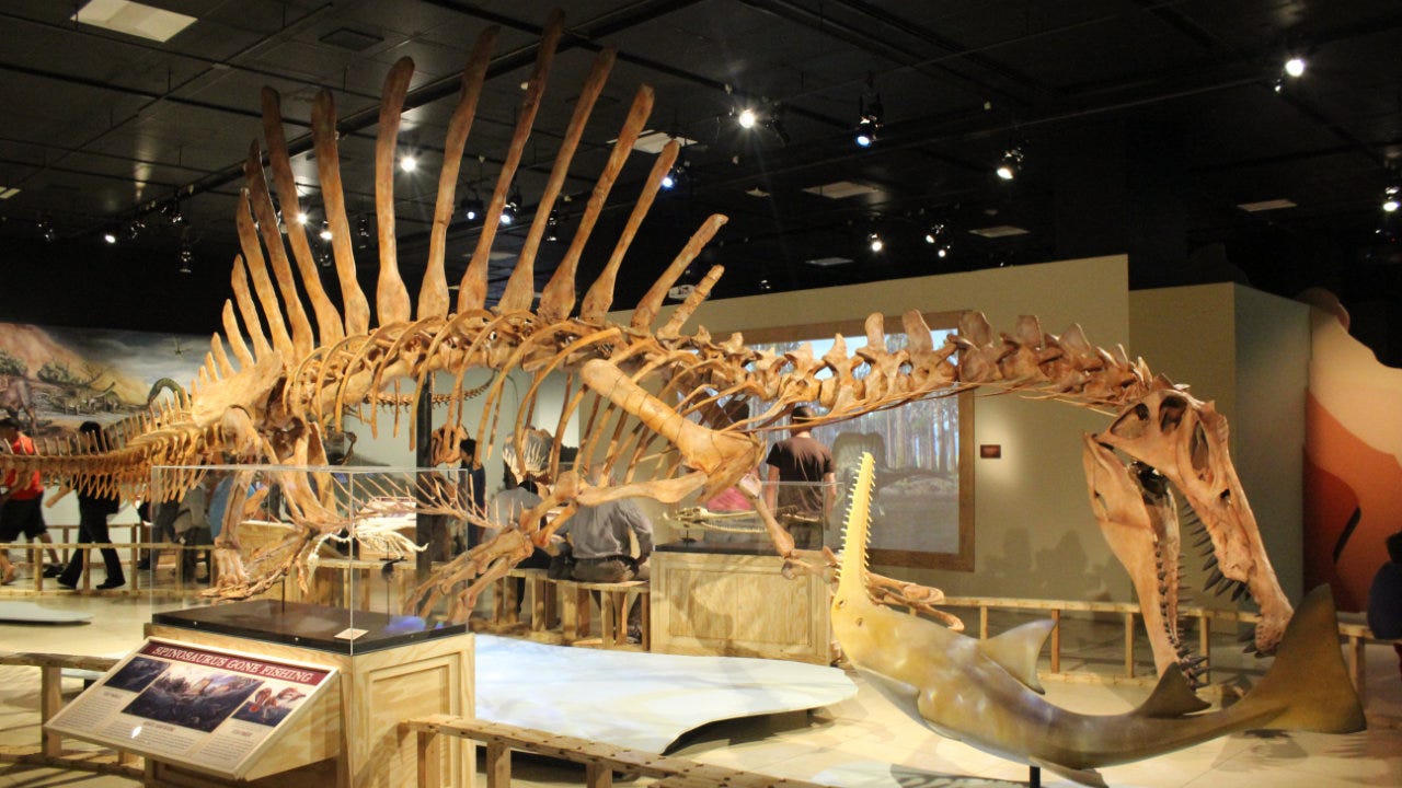 Interview: M. Allen Hall - Skeleton Code Machine